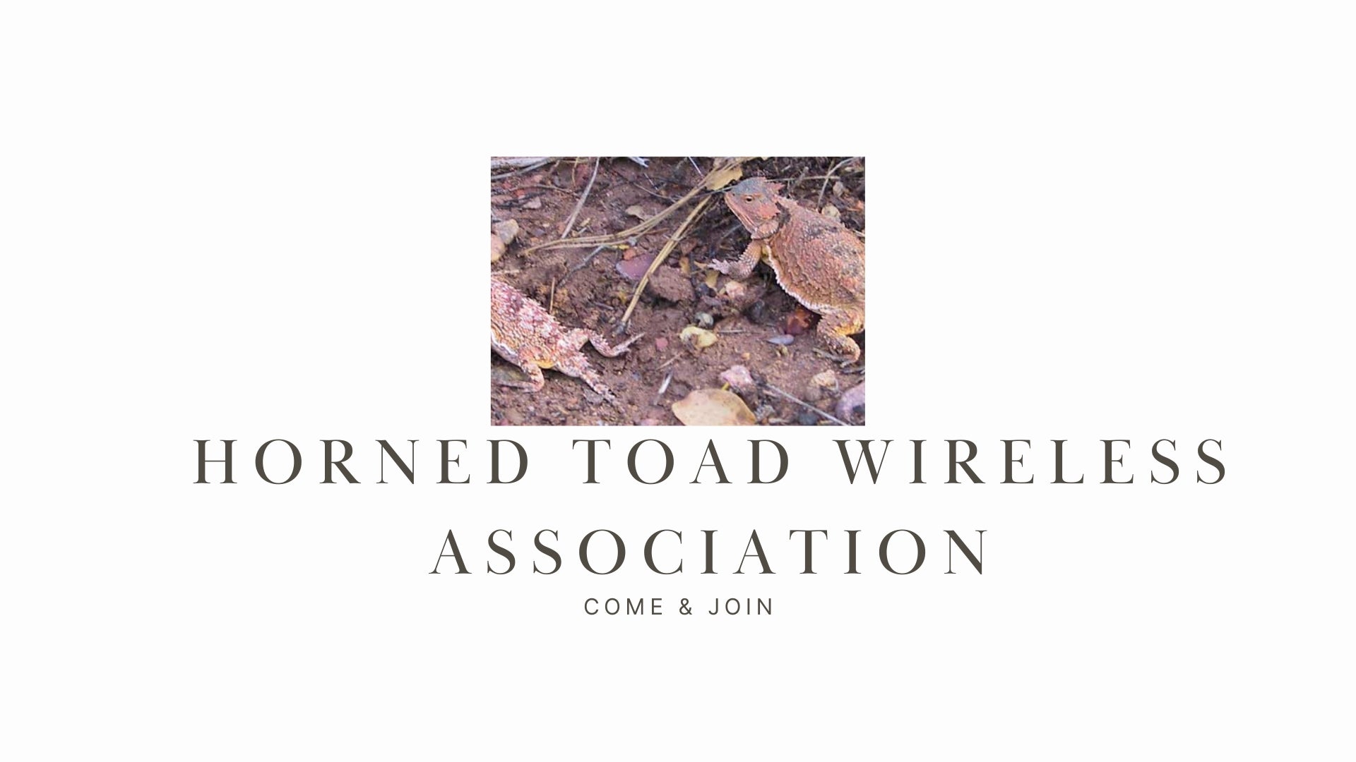 N7KQ Horned Toad Wireless Association: Promoting Amateur Radio in Pine